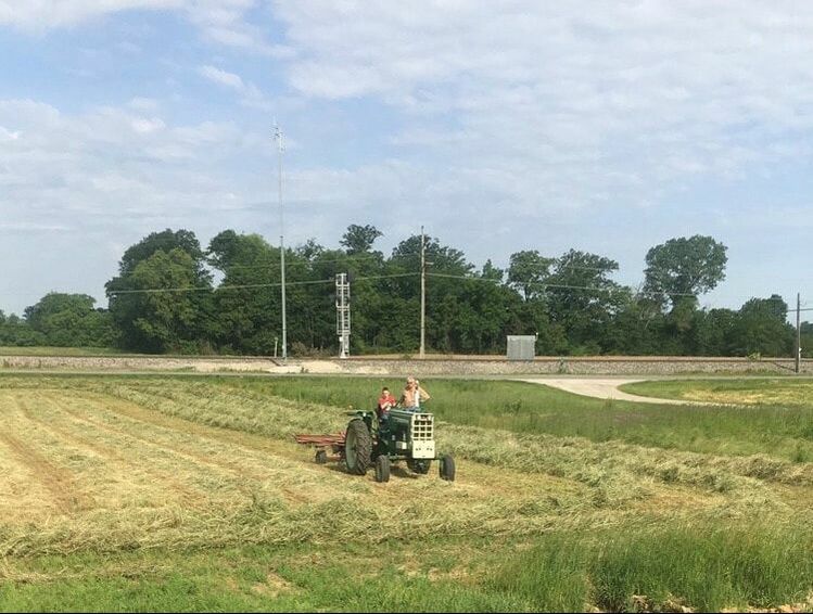 Bulk Beef & Processing – Andy Kromer Farms